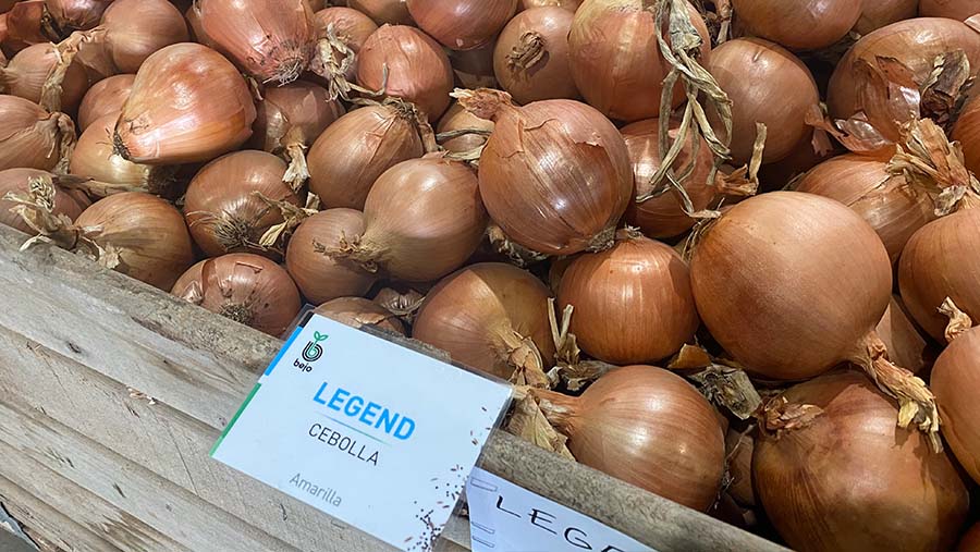 II Jornadas de puertas abiertas de cebolla de almacenaje Bejo Spain 2019 en Ferroice - Ferroice ...